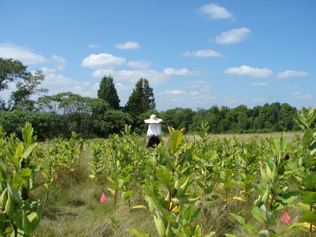 Join the lab | THE GRAINGER LAB