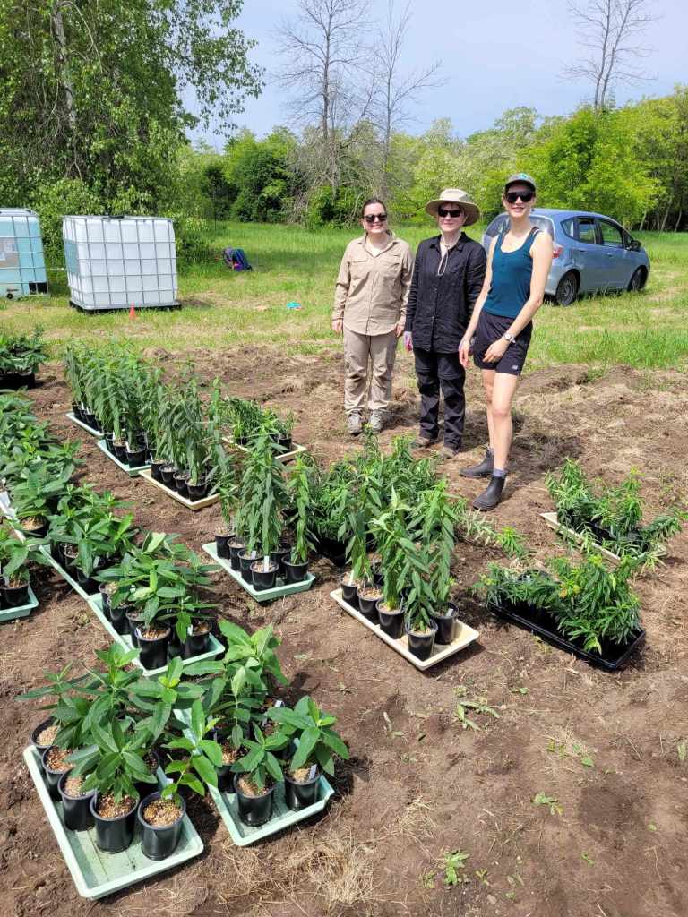 Join the lab | THE GRAINGER LAB