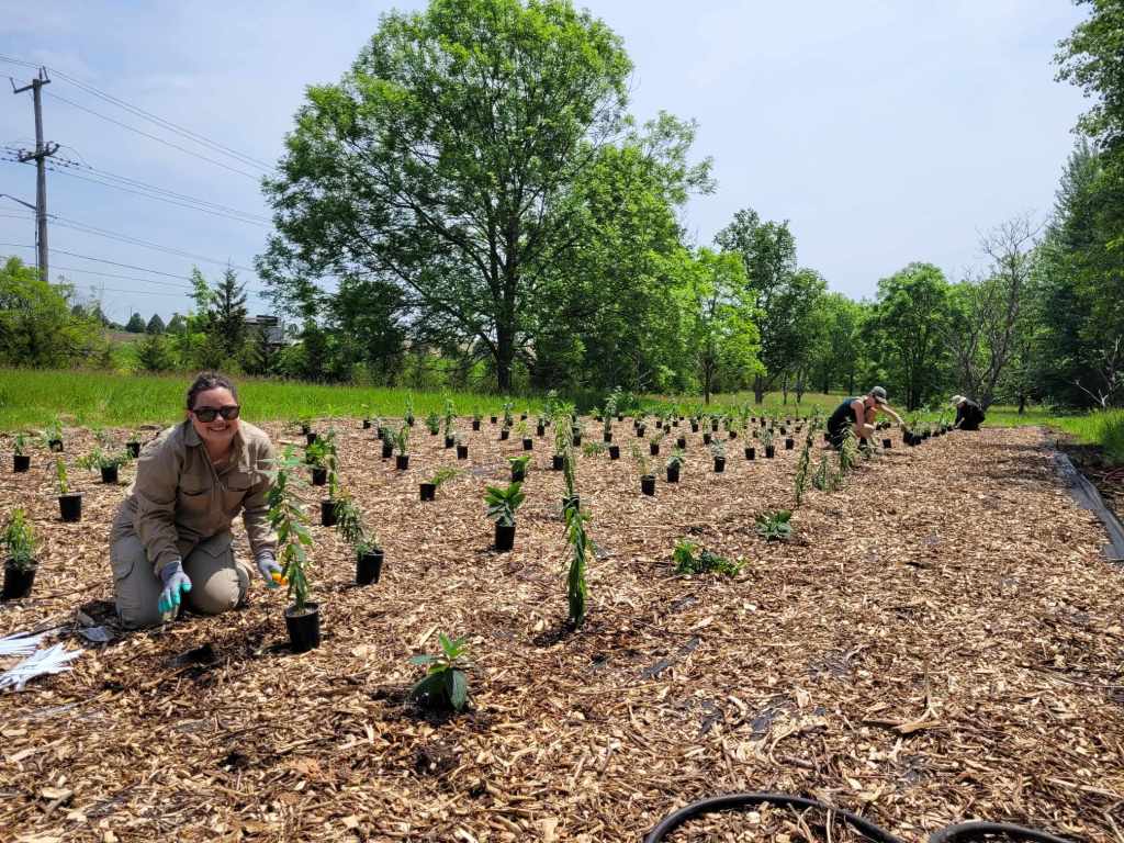 Join the lab | THE GRAINGER LAB